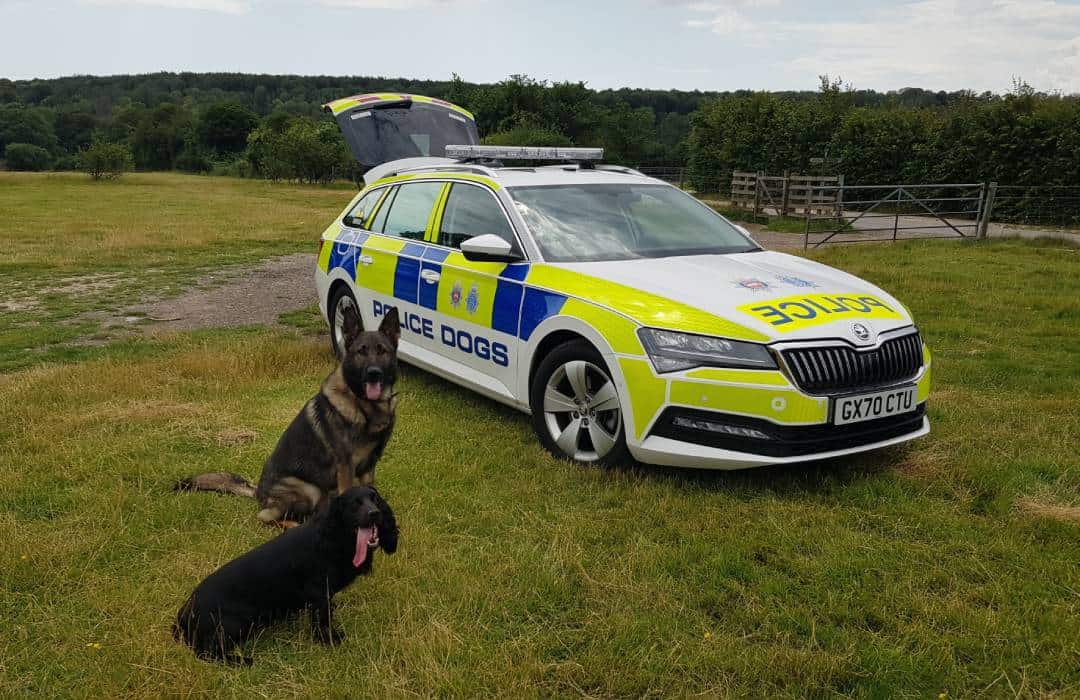 Two determined police dogs helped track down drugs suspects following a ...