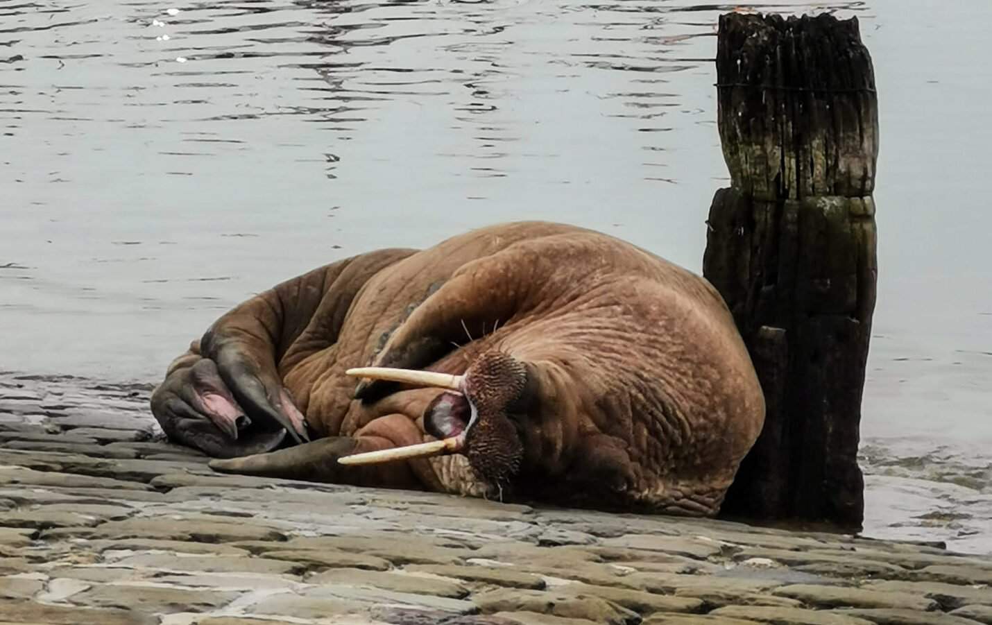 Sussex News January 1, 2023 No Comments