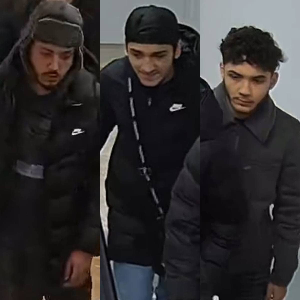 VIDEO: Thieves rip phones from walls during smash-and-grab robbery in ...