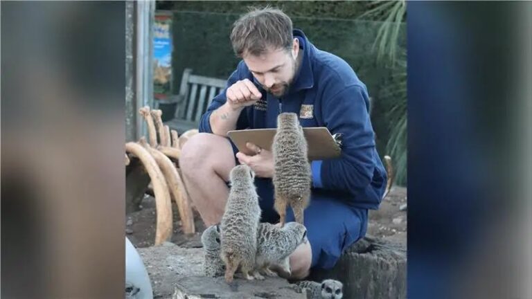 Zoo Carries Out Annual Animal Census - Regency Radio - Brighton